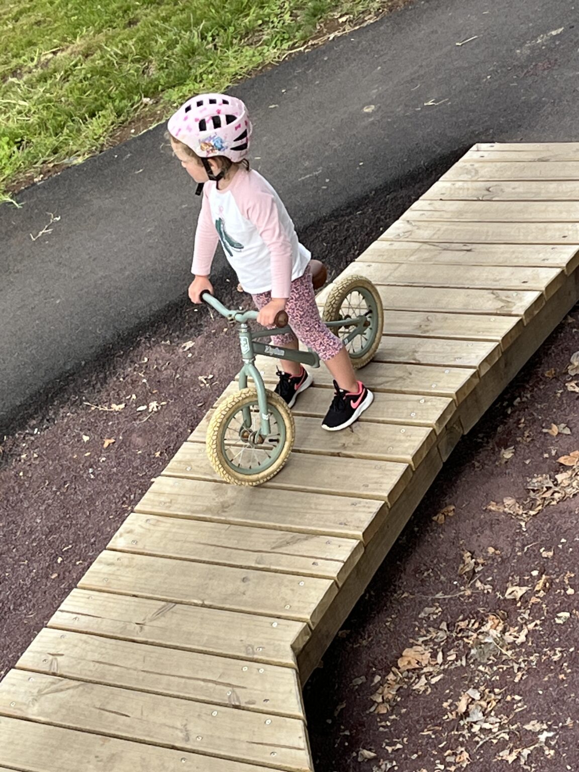 Beginner Skills Track added to Bike Park Offering - Bike Northland ...